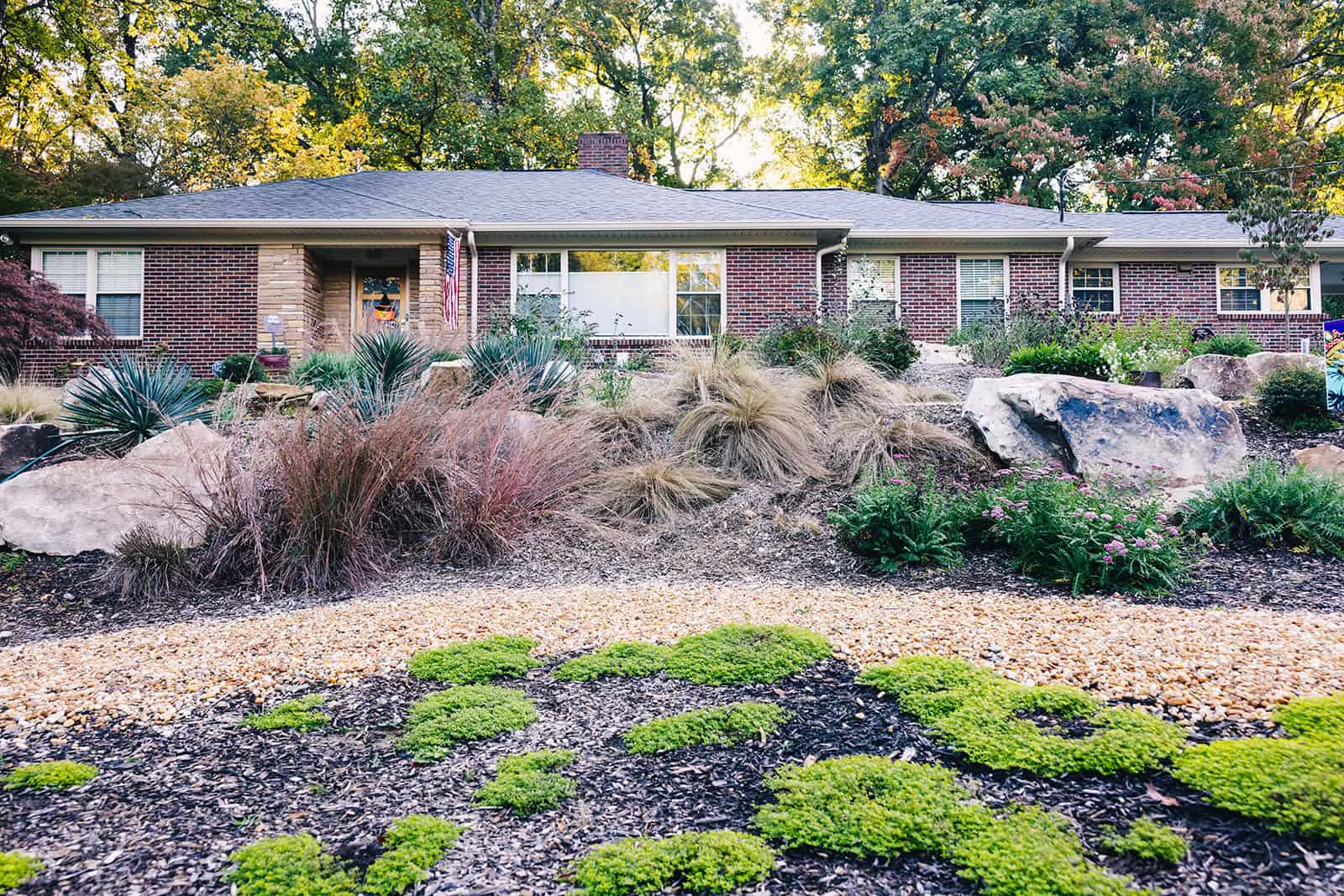 The Ultimate Guide To Native Plant Landscaping | Barefoot Garden Design